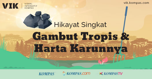 VIK - Hikayat Singkat Gambut Tropis & Harta Karunnya